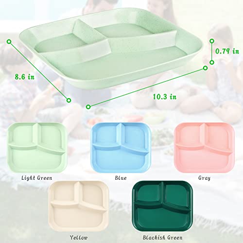 Adult Compartmentalized Dinner Plate Set Of 5 Unbreakable Portion ...