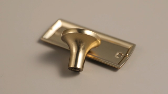 Watch Brushed Gold Knob With Backplate on Amazon Live