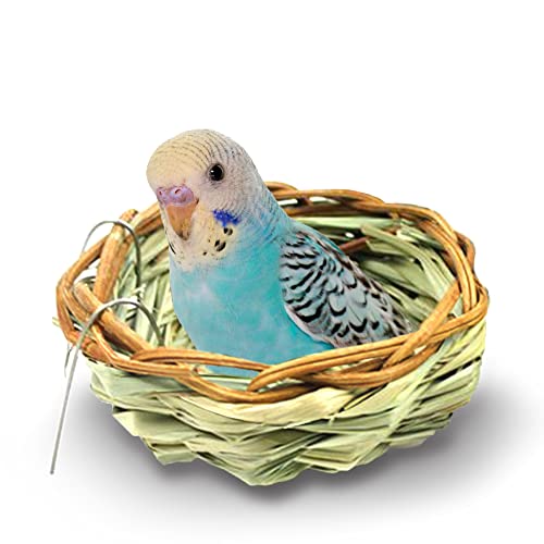 Top 10 The 8 Best Nest For Parakeets To Breed Of 2024 Of April 2024