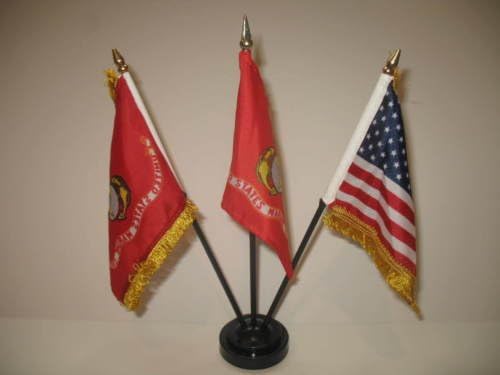 Amazon.com : RFCO EGA Gold Fringe EGA American USA Fringe 3 Flags 4''x6 ...