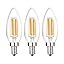 Beonllay 12 Volt LED Candelabra Bulbs E12 Base Light Bulb 25 Watt Warm ...