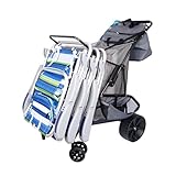 Remote-Controlled Beverage Buggy | The Green Head