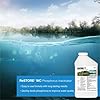 Amazon.com : Proactive Pond Beautification Bundle - Prevent Algae ...