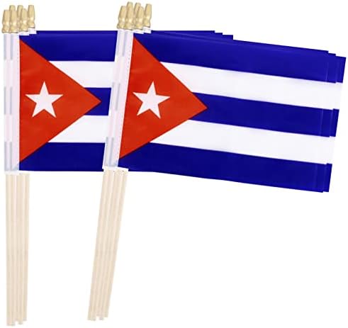 Amazon.com : TSMD Guyana Stick Flag Guyanese Small Mini Hand Held Flags ...