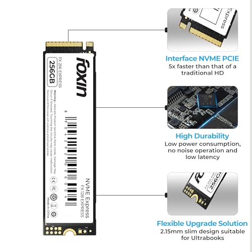 Foxin SSD 256 GB NVME | Internal Solid State Drive with Micron Chipset ...