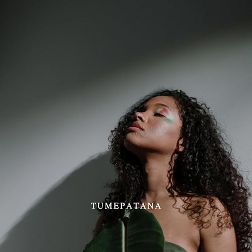 Amazon Music UnlimitedでLizlee _254 feat. Bravine luhyakidのTumepatanaを