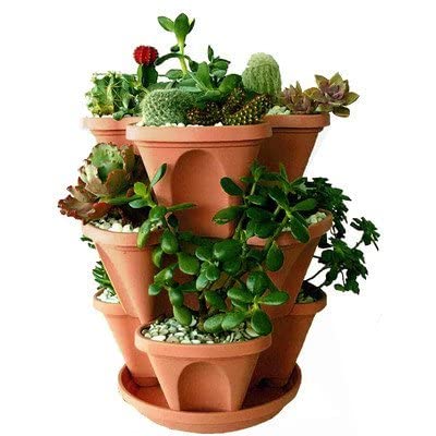 UBERSWEET® Set of 5 Pc Hanging Planter Pot : Amazon.in: Garden & Outdoors