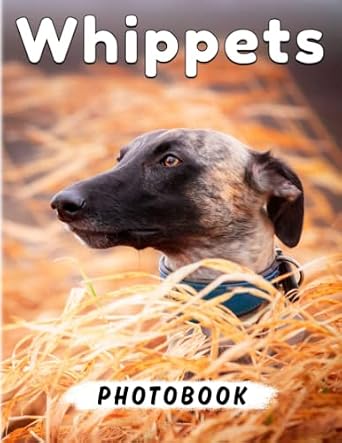 Whippets Photo Book: Get To Know More About This Dog With 40 ...