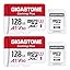Amazon.com: GIGASTONE 128GB 2-Pack Micro SD Card, Gaming Plus, Nintendo-Switch 1 Compatible, R/W ...