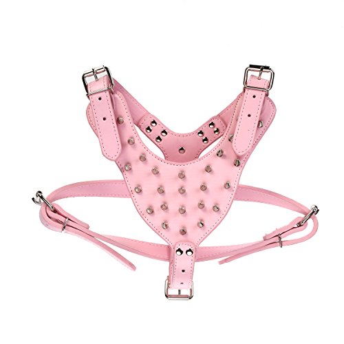 10 Best Small Dog Vests with Spikes: The Ultimate Buying Guide - Furry ...