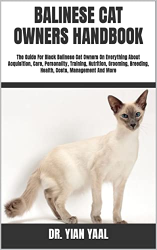 Black Balinese Cat