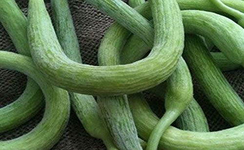 Creative Farmer Vegetable Seeds Cucumber Kakri Seeds - Long Melon ...