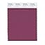 PANTONE Smart 18-1663X Color Swatch Card, Chinese Red - House Paint ...