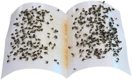 Chipku Fly Trap for Home Glue Trap for House Fly , Sticky Fly Stick ...