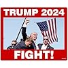 Amazon.com - Trump Fight 2024 Stickers: Assassination Attempt Donald ...