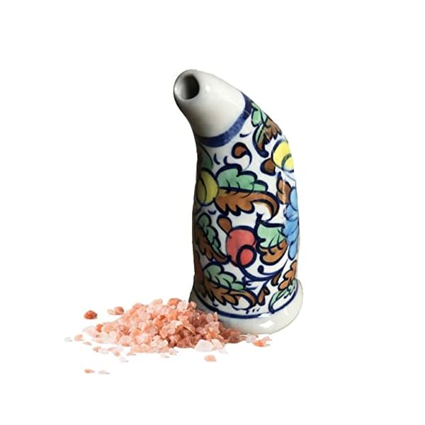 Himalayan Salt Inhaler Ceramic Salt Pipe/Salt Inhaler The Salt Therapy ...