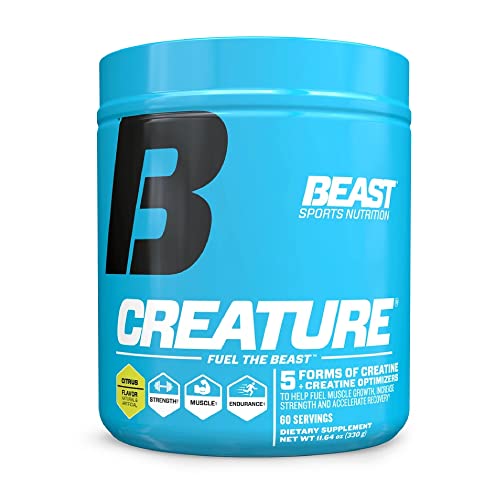 The 25 Best Creatine Powders - Creative Family Moments