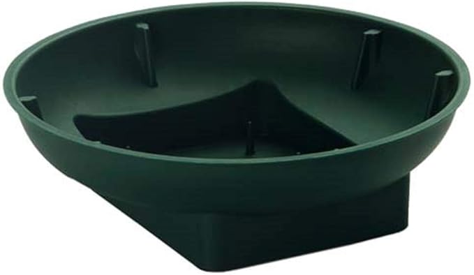 Amazon.com: Floral Supply Online - Green Design Bowls for Flower ...