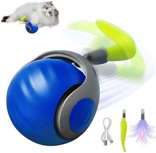Amazon.com: Speedy 2.0, Speedy Cat Toy, Interactive Toys for Indoor ...