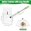 Amazon.com : Saillong 1 Pack Large Spider Catcher with 31'' Long Handle ...