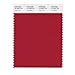 PANTONE Smart 19-1862X Color Swatch Card, Jester Red - House Paint ...