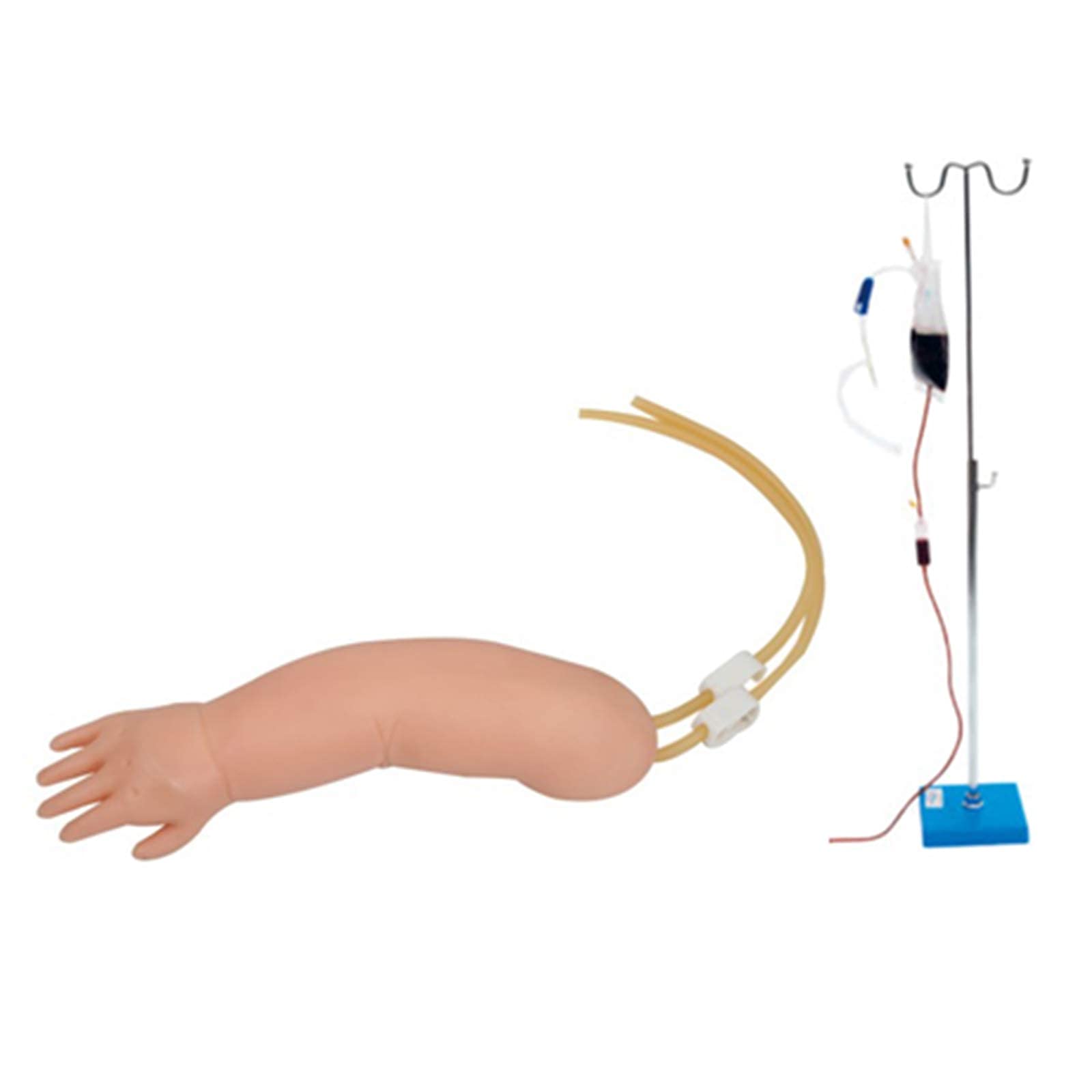 Buy FTFTO Home equipment Manikin Teaching Model - Infant Arm ...