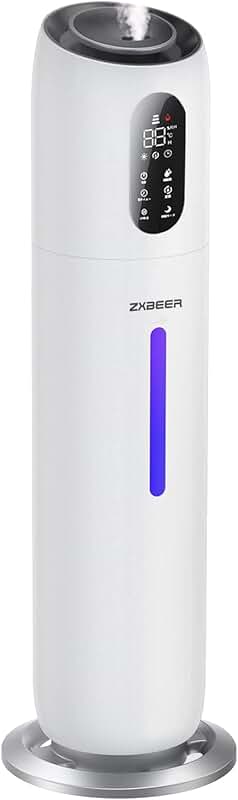 Amazon.ca: Humidifier