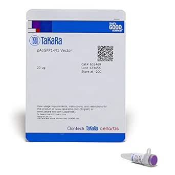 Amazon.com: pAcGFP1-N1 Vector (Takara Bio Cat. No. 632469) : Industrial & Scientific