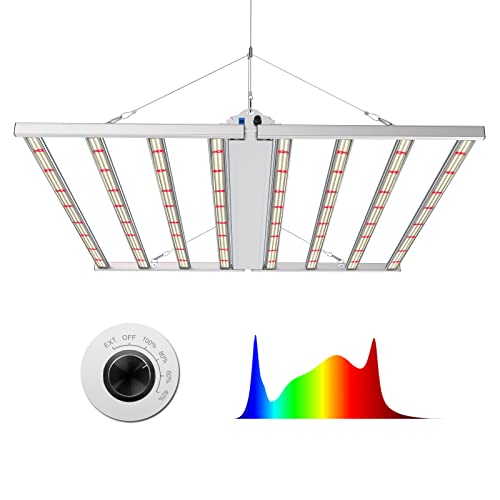 How To Setup A Low Budget Grow Room?