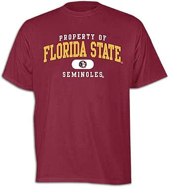 Amazon.com: Florida State Team Edition Men's Freehold Team Color Tee ...