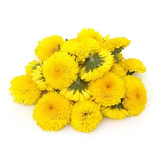 Fresh Chrysanthemum/Shevanti Flower Mix, 250 g : Amazon.in: Home & Kitchen