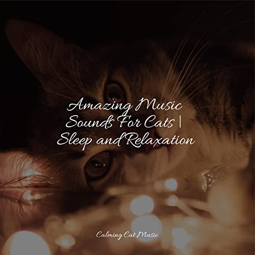 Riproduci Amazing Music Sounds For Cats | Sleep and Relaxation di Cats ...