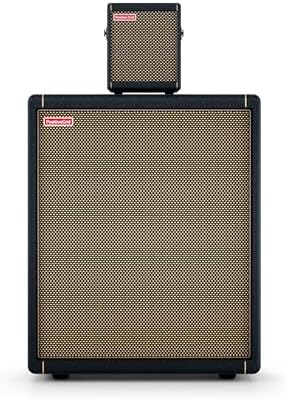 Amazon.com: Positive Grid Spark CAB + Spark Mini Bundle – Powered ...