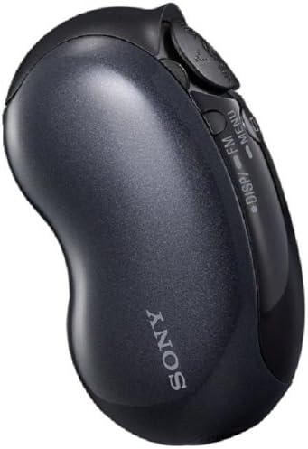 Amazon.com: Sony NW-E307 Walkman Bean 1 GB MP3 Player Black : Electronics
