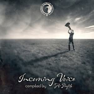 Incoming Voice: Various: Amazon.in: Music}