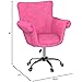 Amazon.com: Magshion Office Desk Chair Bar Stool Beauty Nail Salon Spa ...
