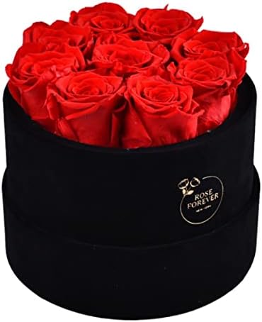 Amazon.com: 9-Piece Preserved Red Roses - Rose Forever New York - Made ...