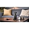 Amazon.com: JFSM INC. 3.25" Black Labrador Dog Sitting Up Figurine ...