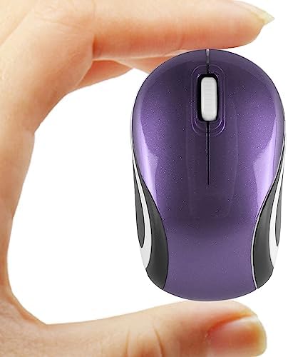 Amazon.com: Wireless Mouse Cute Mini Computer Mouse Small Size Pocket ...