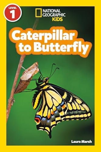 Amazon.com: Caterpillar to Butterfly (National Geographic Kids Readers ...