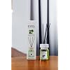 EYFEL REED DIFFUSER-TROPICAL FOREST 120ML : Amazon.co.uk: Health ...