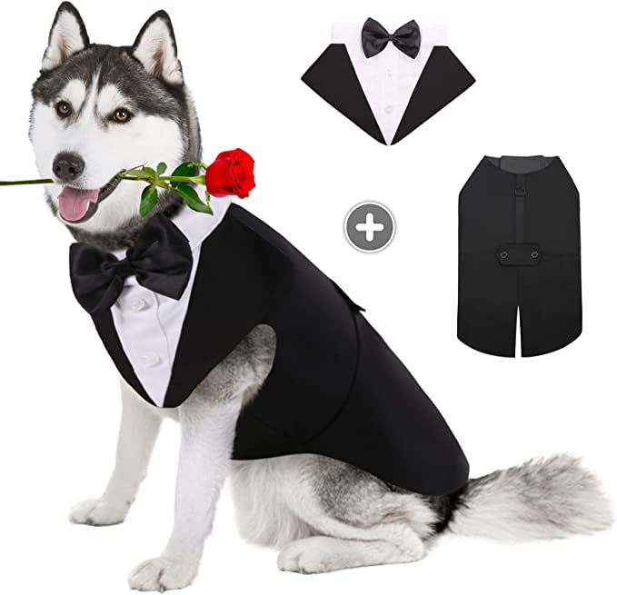 Disfraces de Dorado Retriever Conjunto de Bandana de Traje Formal de ...