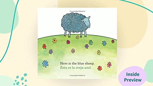 Snapklik.com : Where Is The Green Sheep/Donde Esta La Oveja Verde Board ...