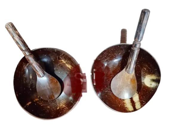 Srishti Crafts Natural Handmade Coconut Shell Bowl with Spoon (Brown ...