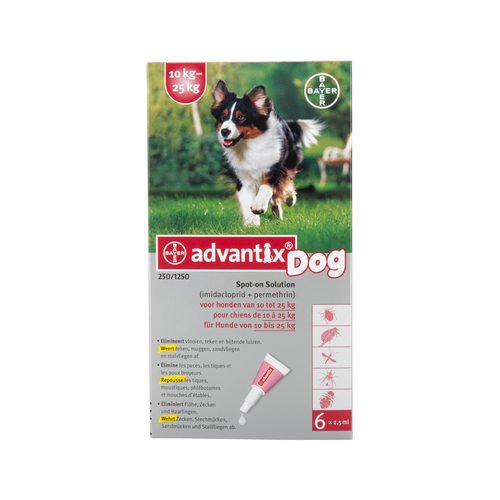 Advantix Cani: fino a 4 kg e da 4 a 10 kg. Opinioni, consigli e prezzo!