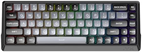 Amazon.com: Akko Rapid Trigger Gaming Keyboard with Magnetic Switches ...