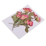 ・ブランド:DeeRace・製造元:DeeRace・製造元/メーカー部品番号:59010389123206727・グリーティングカード、DIY、お手持ちの携帯ケース、工芸品など、お友達にもお勧めです。・ハンドメイドブックマーク、ブッキング、...