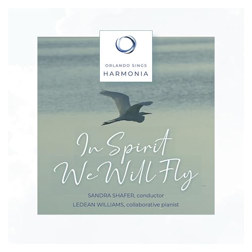 Amazon.com: In Spirit We Will Fly : Sandra Shafer: Digital Music