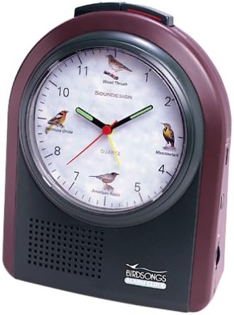 Amazon.com: Soundesign 3106 Bird Sounds Alarm Clock : Home & Kitchen