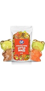 Amazon.com: Gummy Bears Candy - 11 Ounce Pack - Assorted Fruit Flavors ...